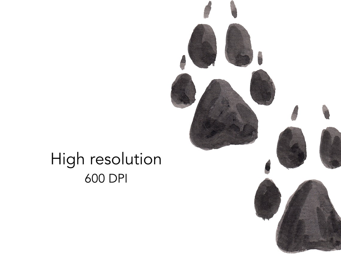 WATERCOLOR CLIPART Animal Tracks Clipart Watercolour Clipart - Etsy