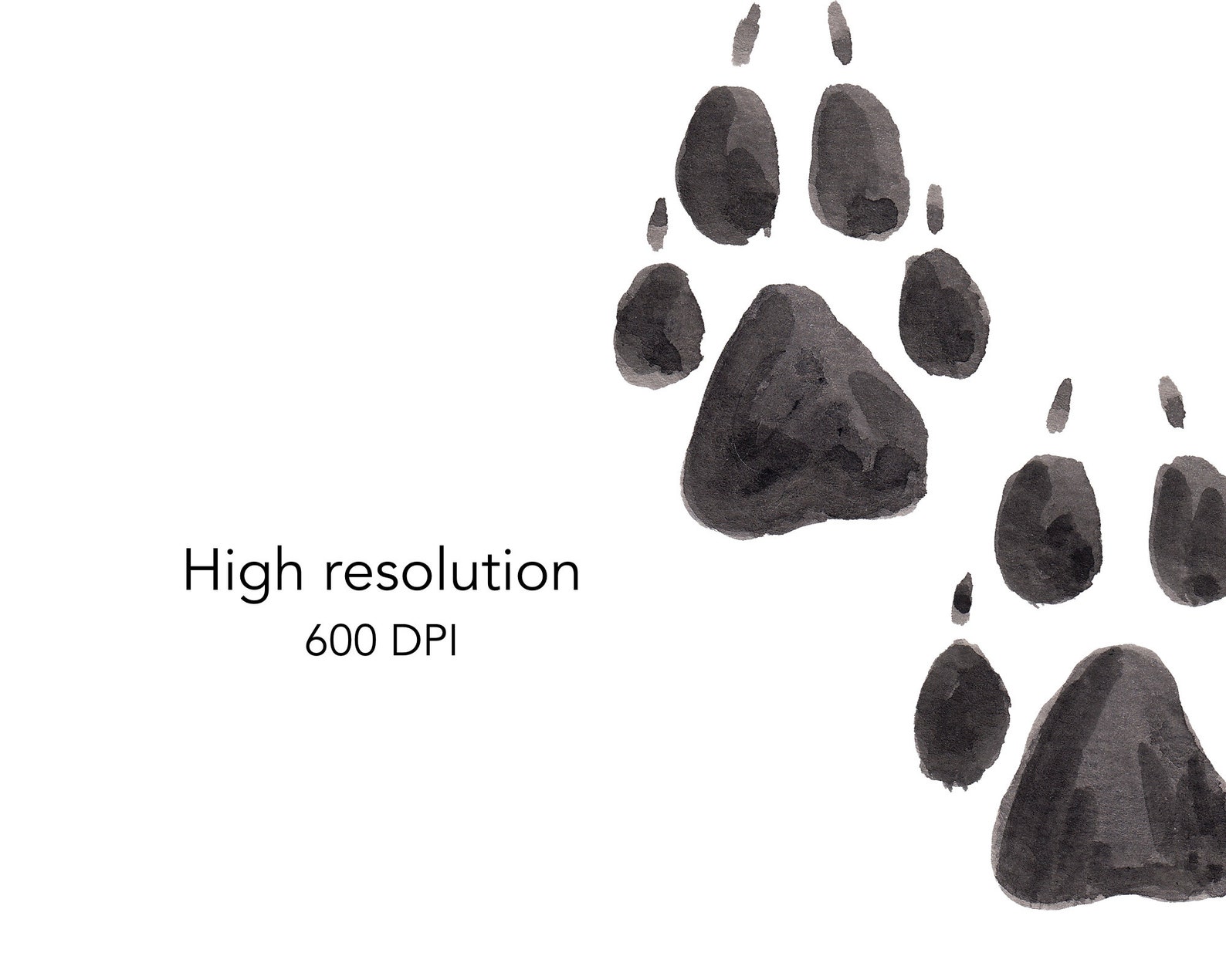 WATERCOLOR CLIPART, Animal Tracks Clipart, Watercolour Clipart Set ...