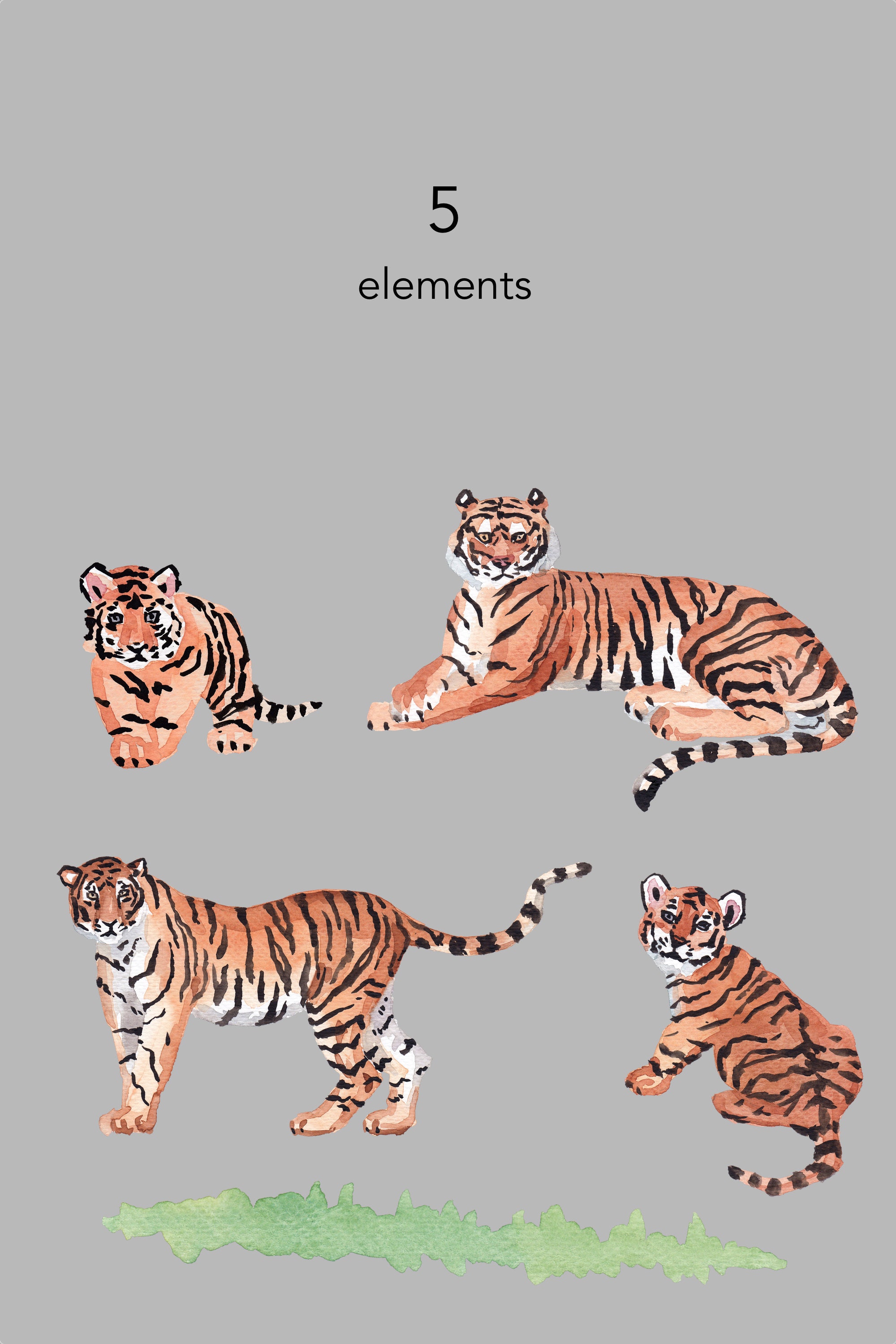 Watercolor Tiger Clipart Set, Safari Nursery Art (PNG Files) - Etsy