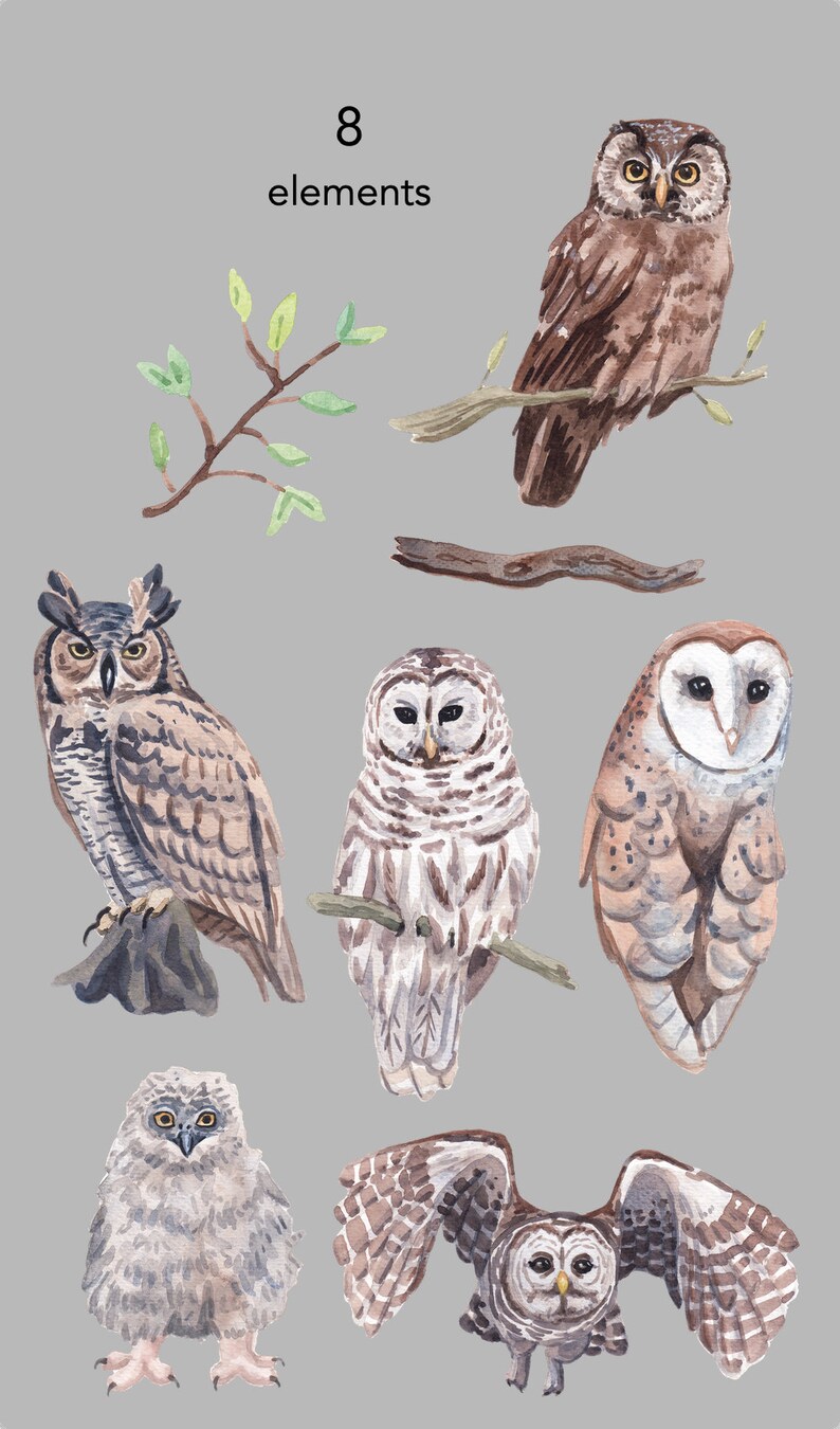 Watercolor Owl Clipart, Forest Animals Graphics (PNG) - Etsy