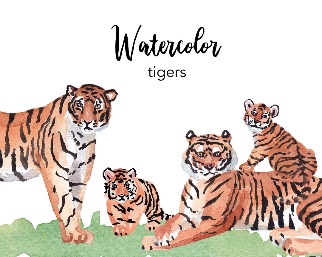 Watercolor Tiger Clipart Set, Safari Nursery Art (PNG Files) - Etsy