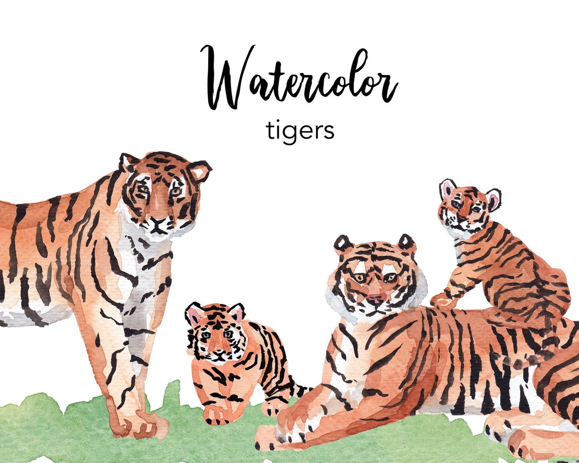 Watercolor Tiger Clipart Set, Safari Nursery Art (PNG Files) - Etsy
