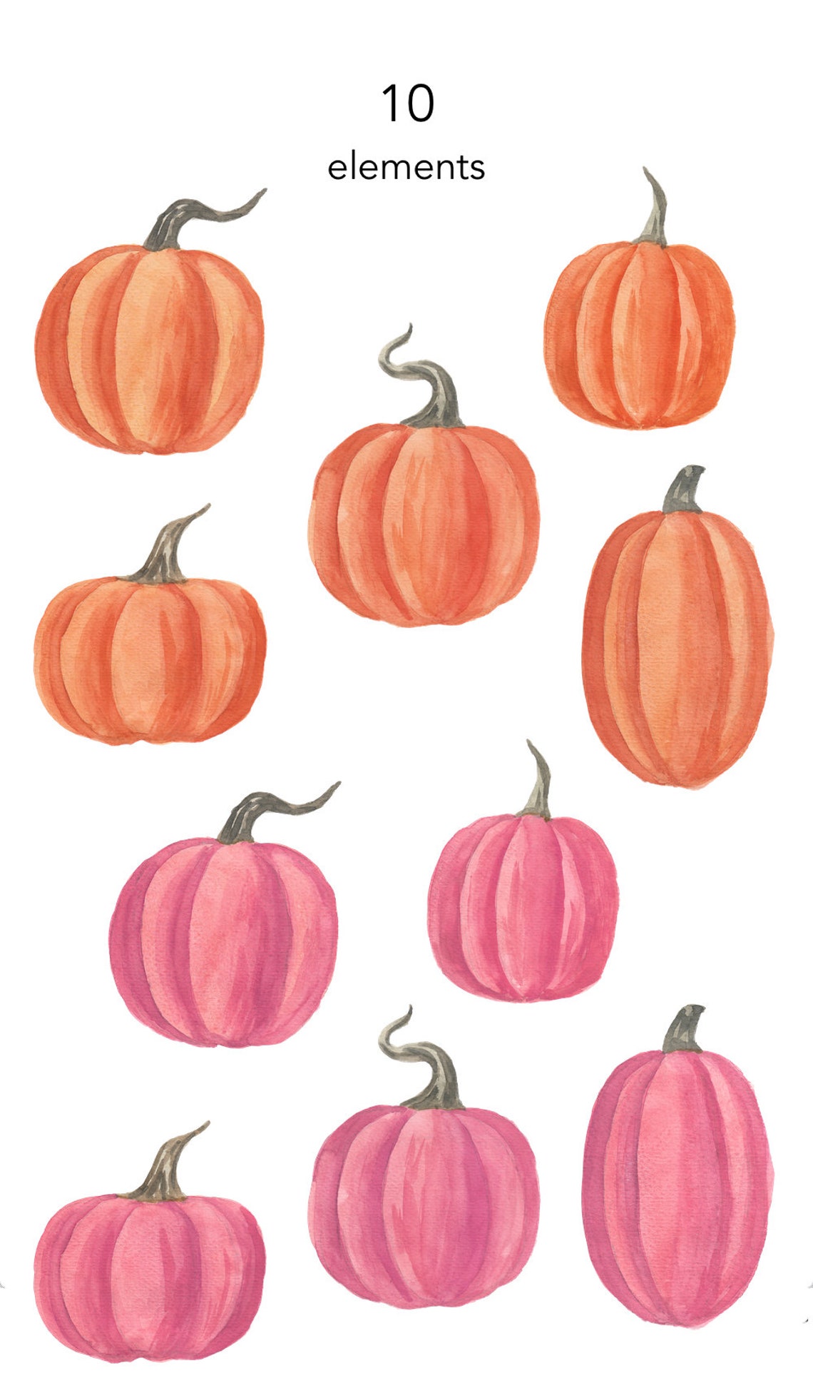 WATERCOLOR CLIPART Pink Pumpkins Clipart Halloween Images - Etsy