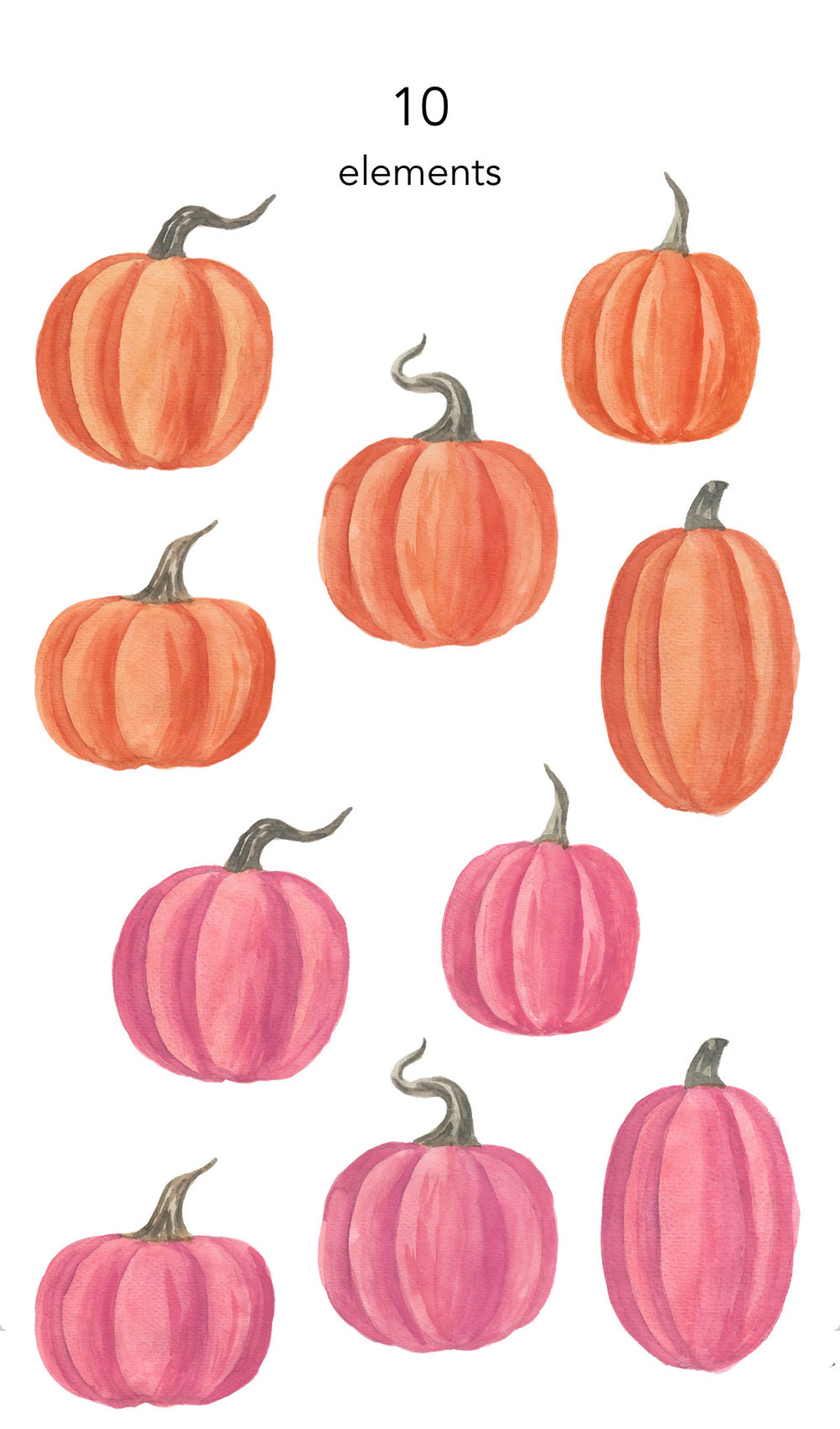 WATERCOLOR CLIPART Pink Pumpkins Clipart Halloween Images - Etsy