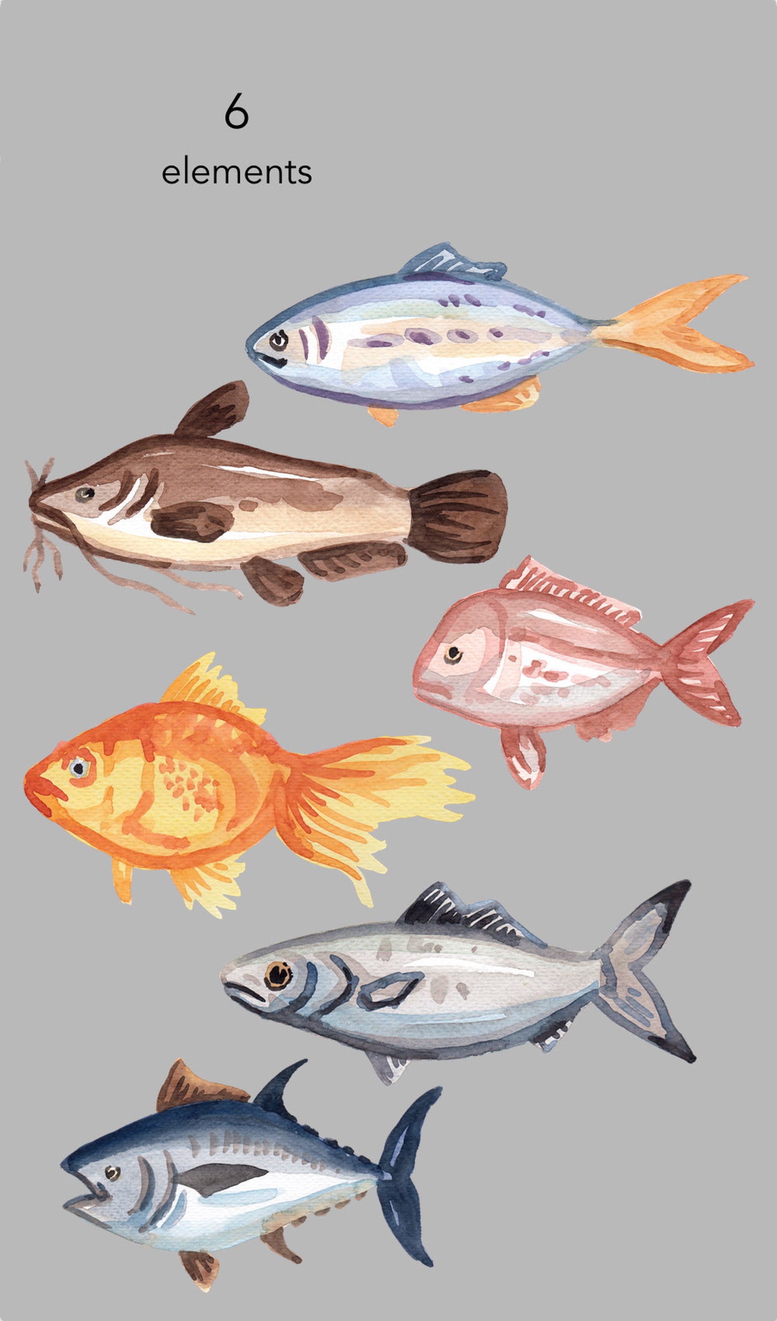 WATERCOLOR CLIPART Fish Clipart Ocean Beach Summer Vacation - Etsy