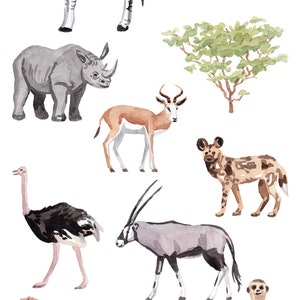 WATERCOLOR CLIPART, African Clipart, Savanna, Safari Scrapbooking Clip ...