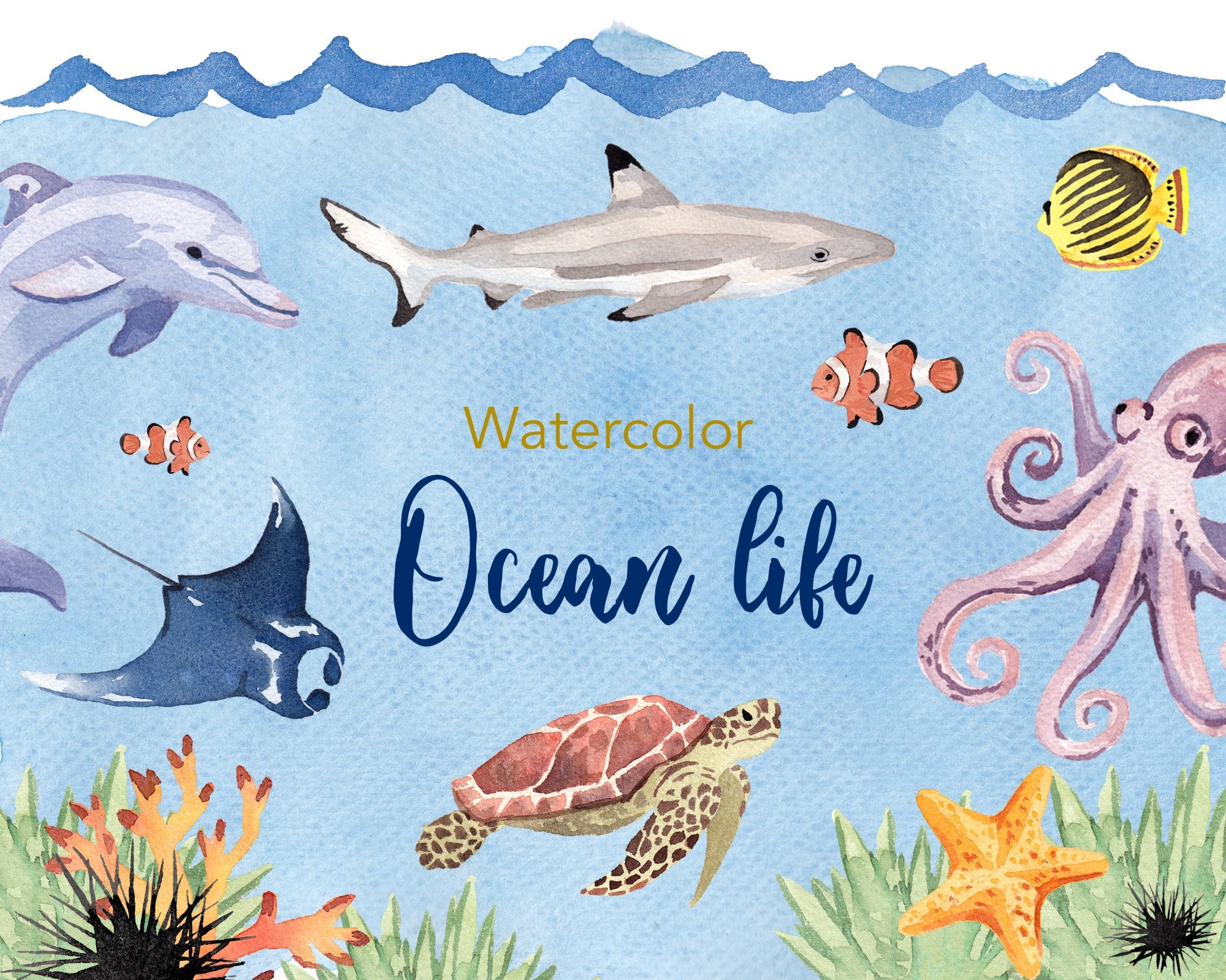 WATERCOLOR CLIPART Ocean Life Clipart Watercolour Clipart - Etsy