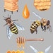 WATERCOLOR CLIPART, Bee Clipart, Honey, Nature, Scrapbooking Clip Art ...