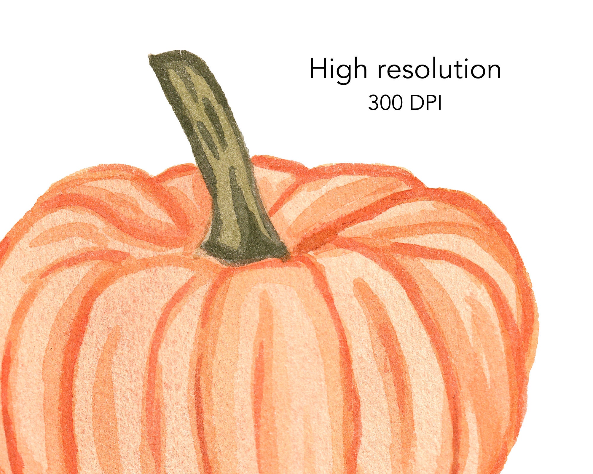 WATERCOLOR CLIPART, Pumpkin Clipart, Halloween Clipart, Watercolour ...