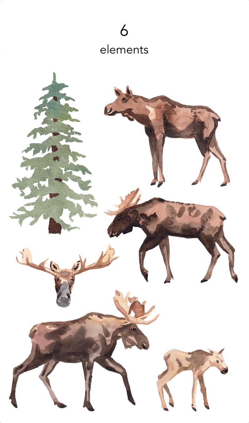 WATERCOLOR CLIPART moose clipart watercolour woodland animal | Etsy