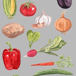 WATERCOLOR CLIPART, Vegetables Clipart, Food, Kitchen, Veggie ...
