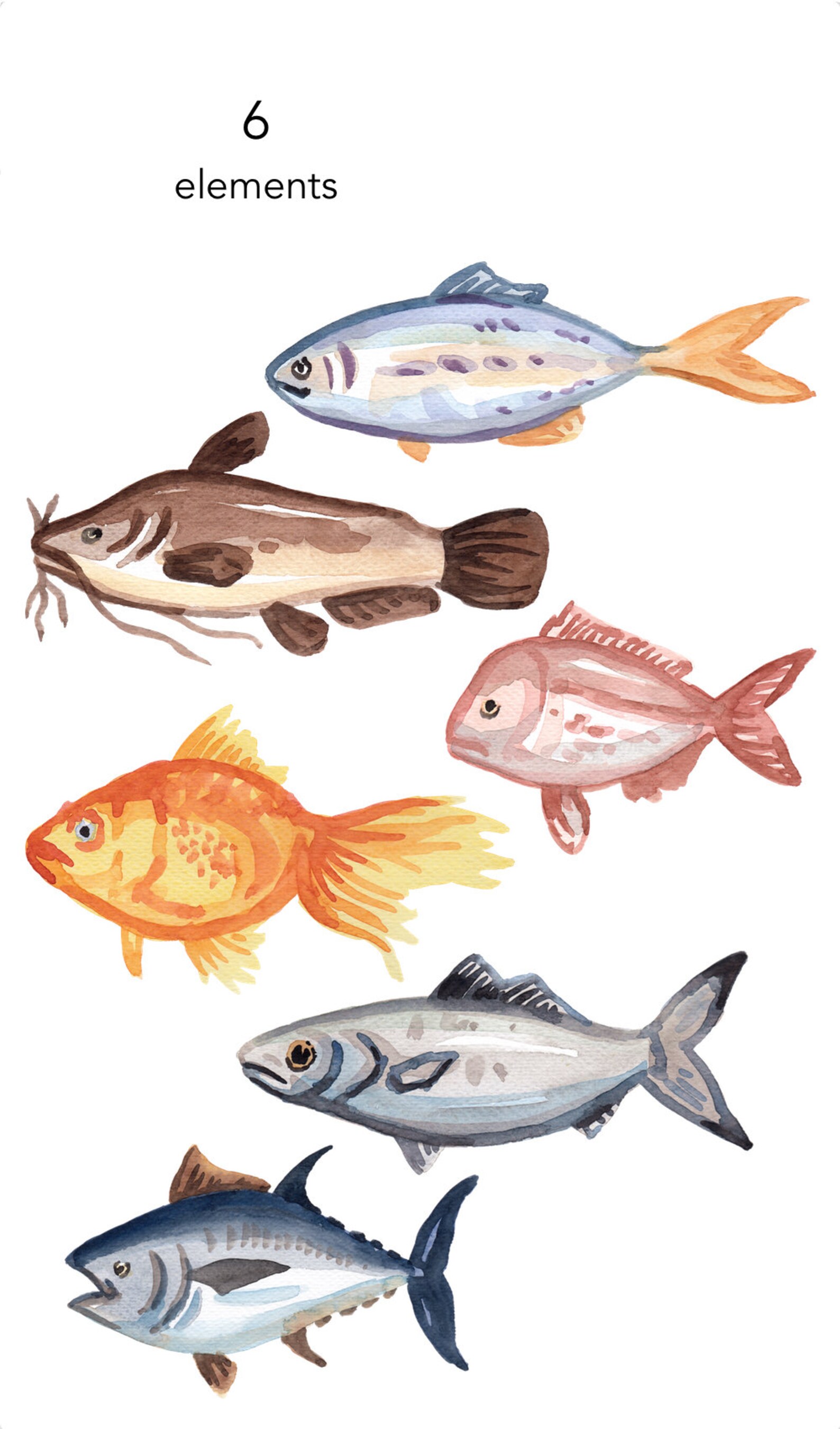 WATERCOLOR CLIPART Fish Clipart Ocean Beach Summer Vacation - Etsy