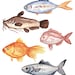 WATERCOLOR CLIPART, Fish Clipart, Ocean Beach Summer Vacation ...