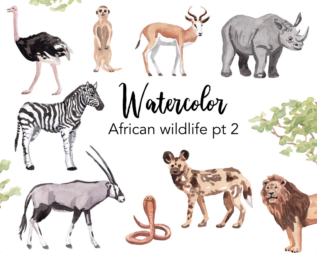 WATERCOLOR CLIPART, African Clipart, Savanna, Safari Scrapbooking Clip ...