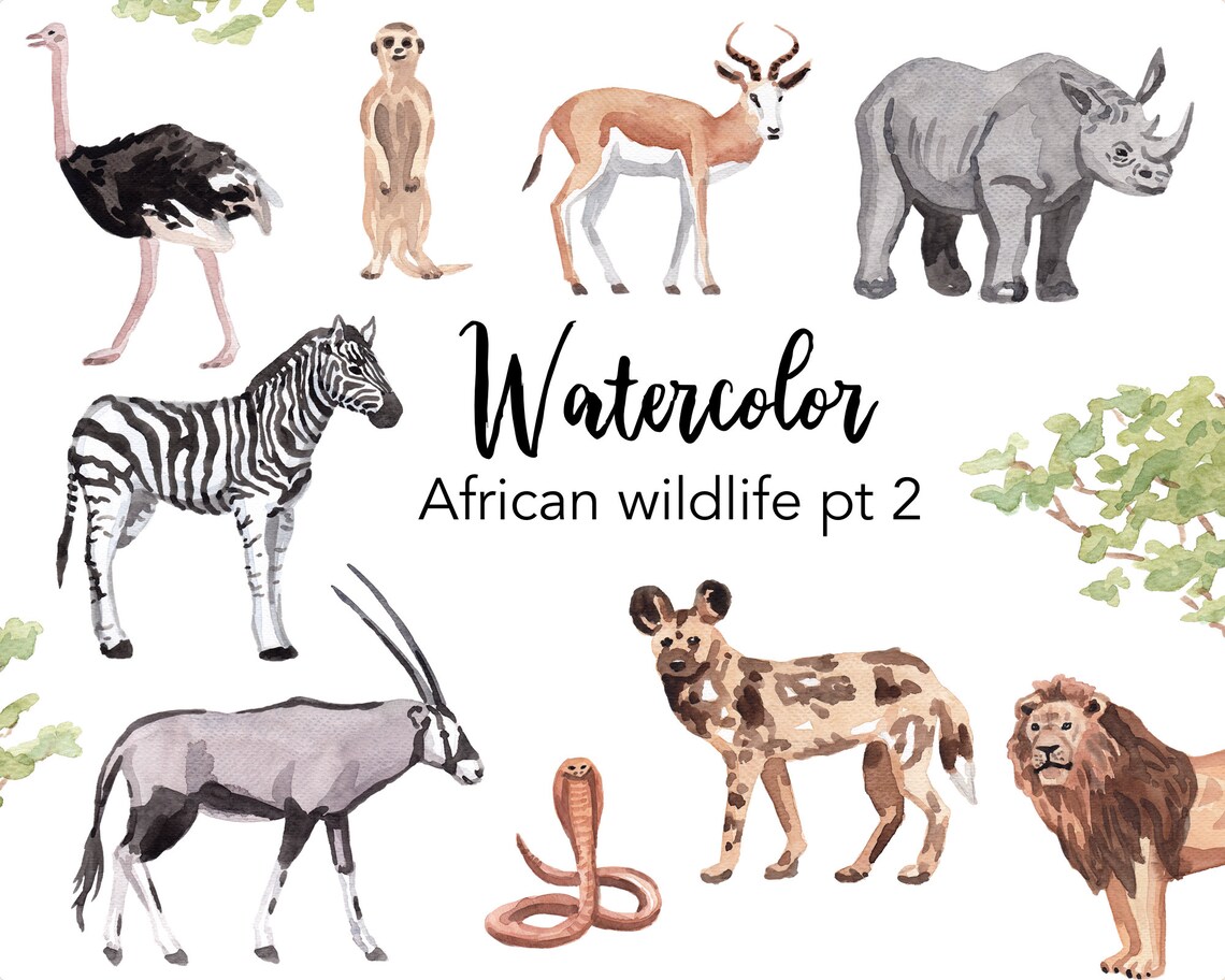 WATERCOLOR CLIPART, African Clipart, Savanna, Safari Scrapbooking Clip ...