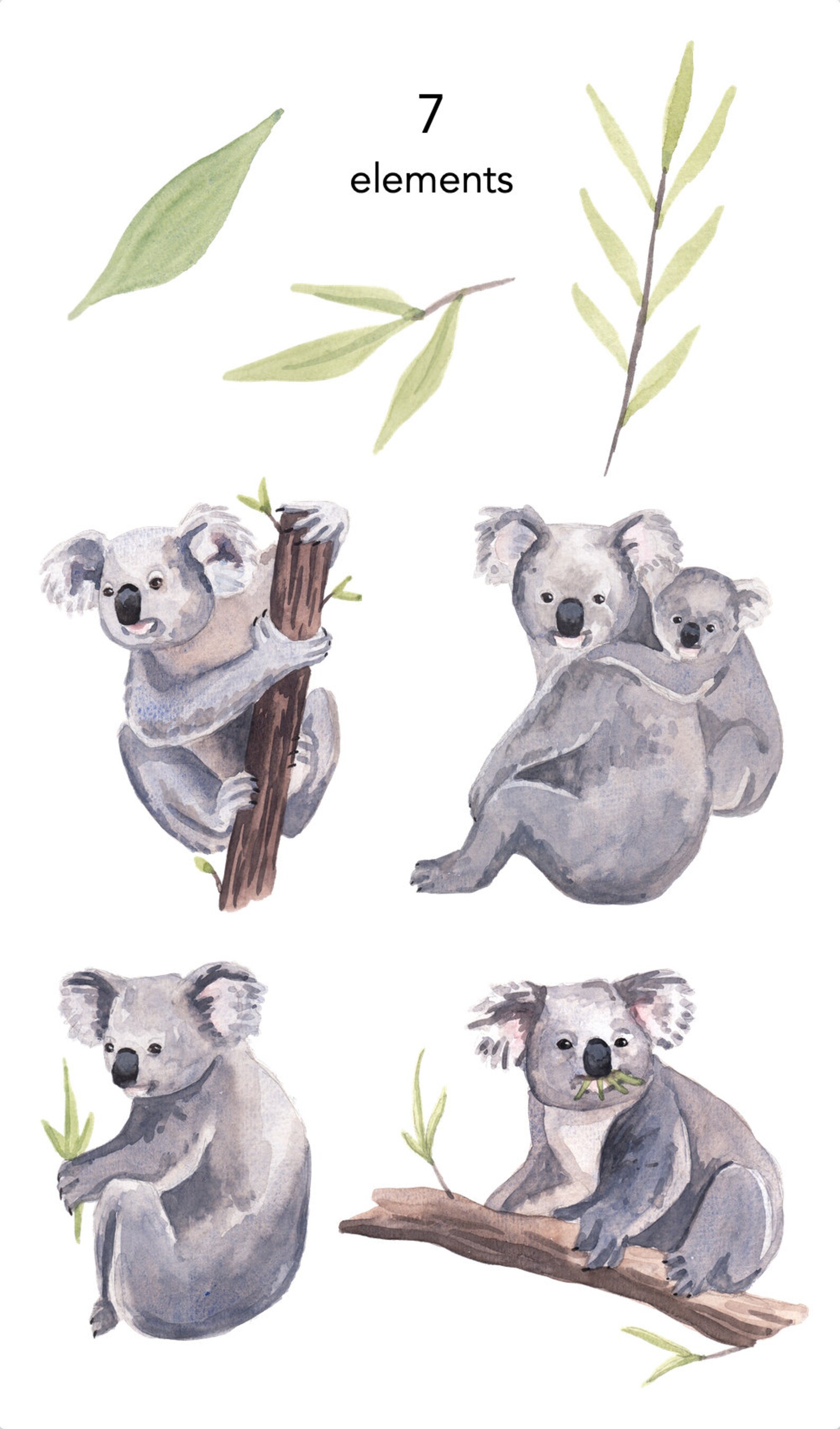 WATERCOLOR CLIPART, Koala Clipart, Watercolour Clipart Set, Commercial ...