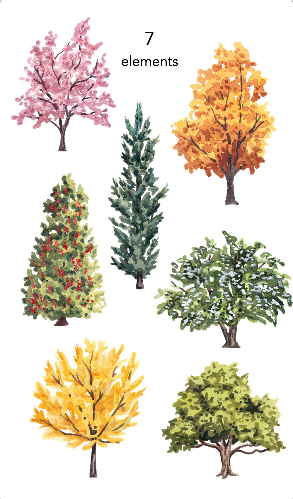 WATERCOLOR CLIPART Tree Clipart Watercolor Tree Clipart - Etsy UK