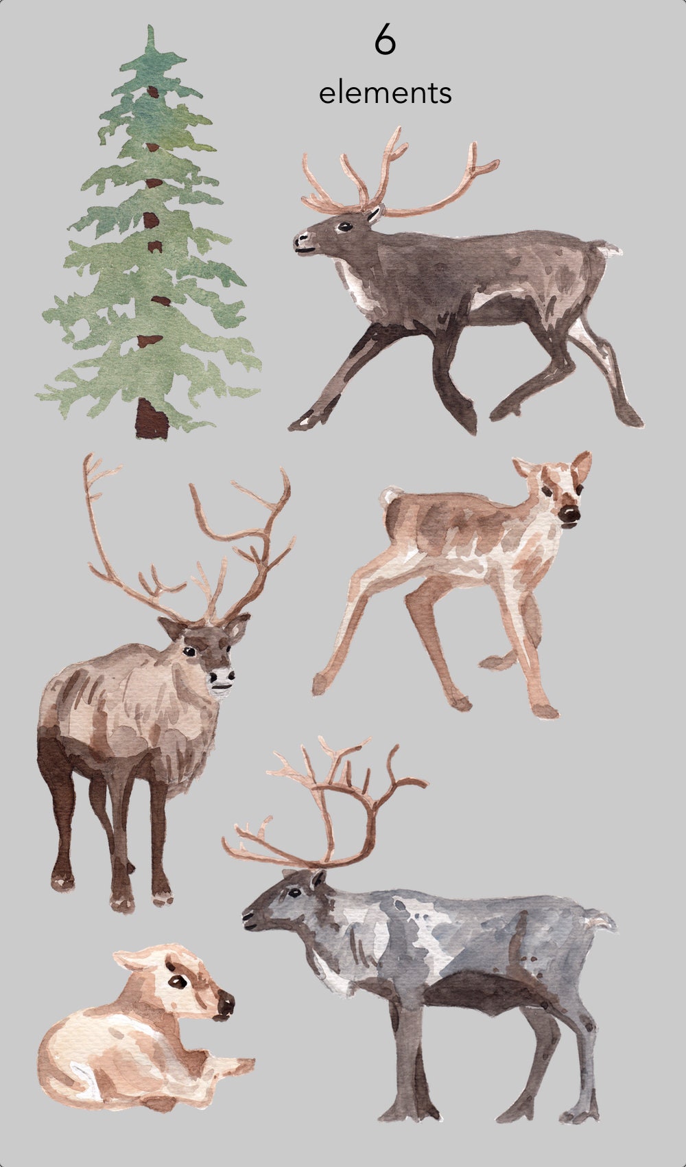 WATERCOLOR CLIPART Reindeer Watercolour Christmas Clipart - Etsy