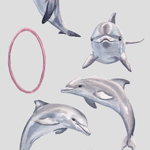 WATERCOLOR CLIPART, Dolphin Clipart, Ocean Beach Summer Vacation ...