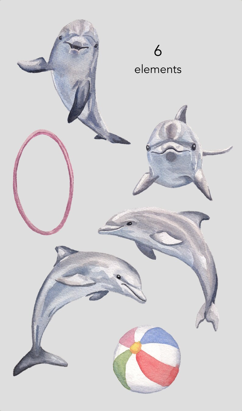 WATERCOLOR CLIPART Dolphin Clipart Ocean Beach Summer - Etsy