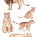 WATERCOLOR CLIPART, Lion Pride Clipart, Lion Cub Watercolour Clipart ...