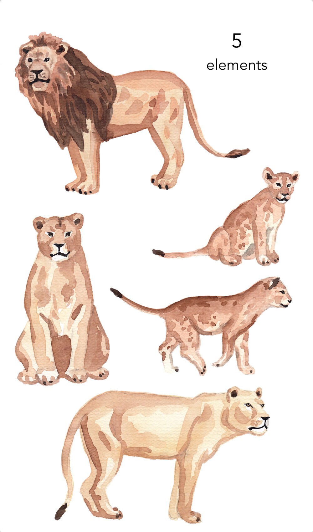 WATERCOLOR CLIPART, Lion Pride Clipart, Lion Cub Watercolour Clipart ...