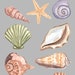 WATERCOLOR CLIPART, Seashells, Beach, Summer Vacation, Watercolour Sea ...