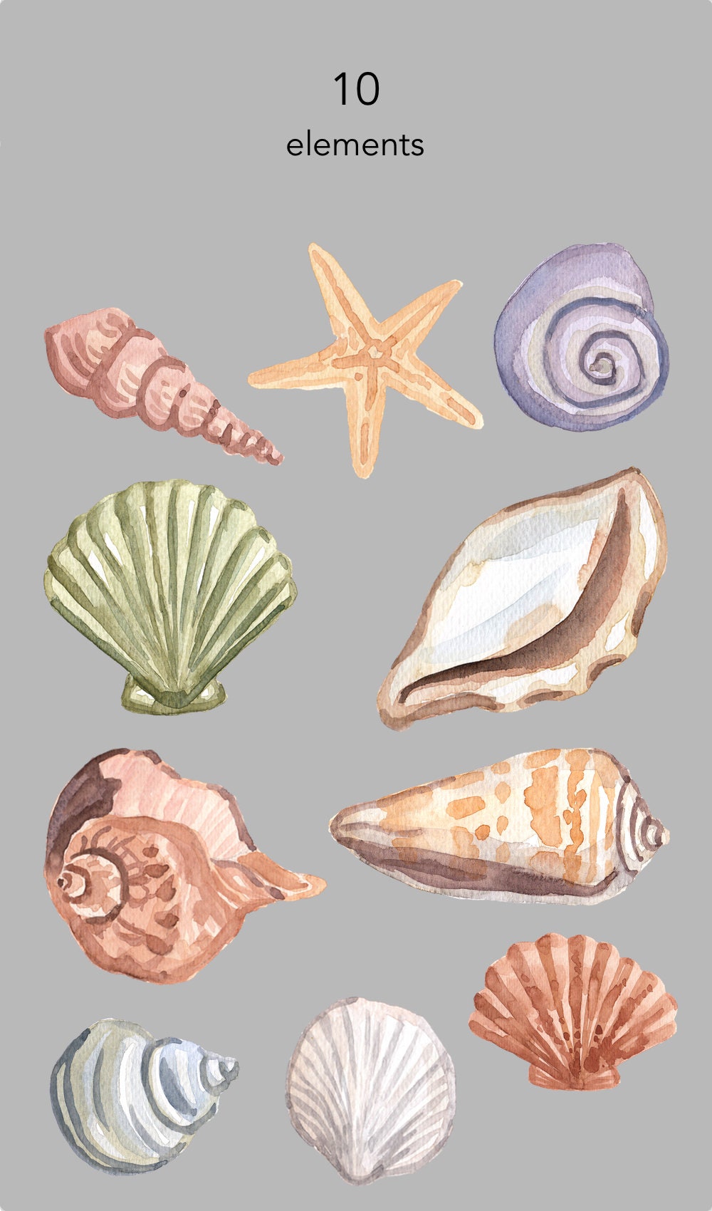 WATERCOLOR CLIPART Seashells Beach Summer Vacation | Etsy