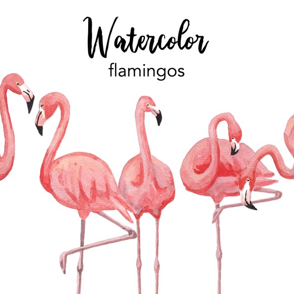 Flamingo Watercolor - Etsy