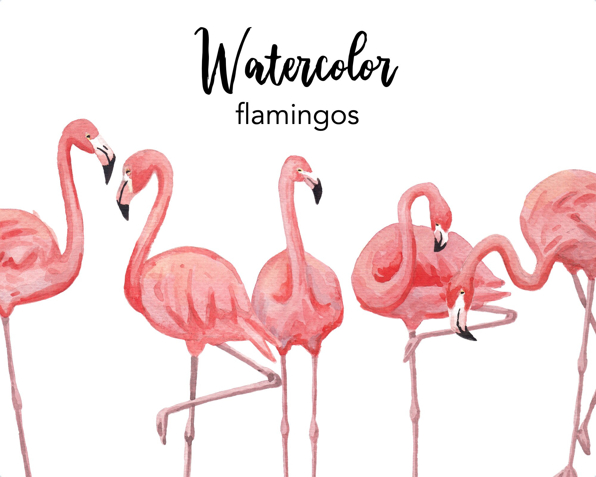 WATERCOLOR CLIPART Flamingo Clipart Set Commercial Use Png - Etsy