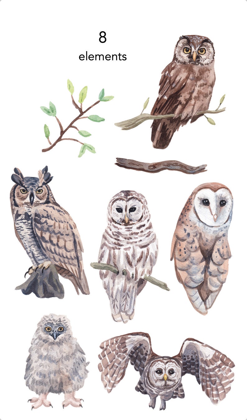 Watercolor Owl Clipart, Forest Animals Graphics (PNG) - Etsy