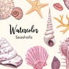 WATERCOLOR CLIPART, Seashells, Beach, Summer Vacation, Watercolour Sea ...
