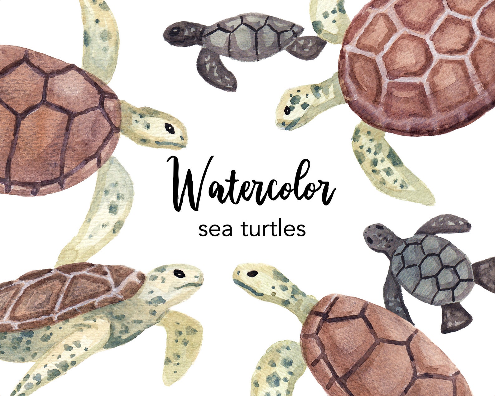 Buy WATERCOLOR CLIPART Sea Turtle Clipart Watercolour Ocean Life Online ...