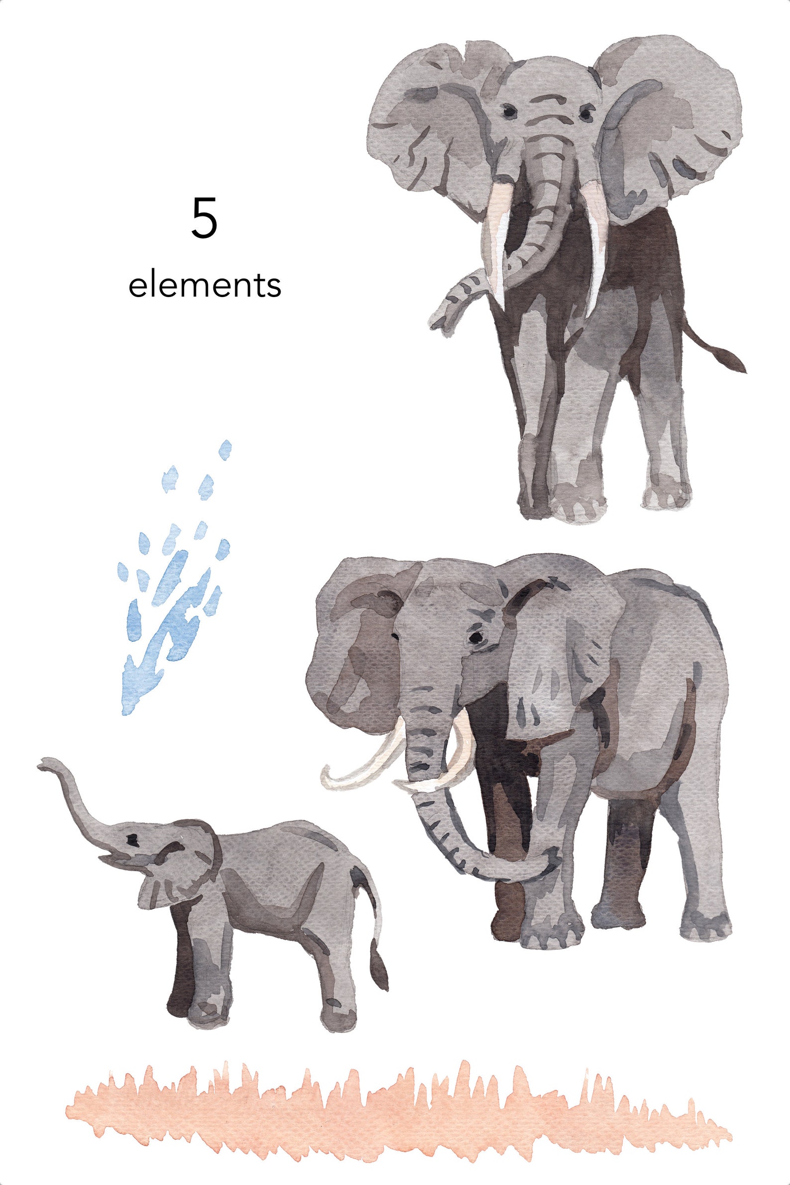 Watercolor Elephant Clipart Set, Safari Animals (PNG Files) - Etsy