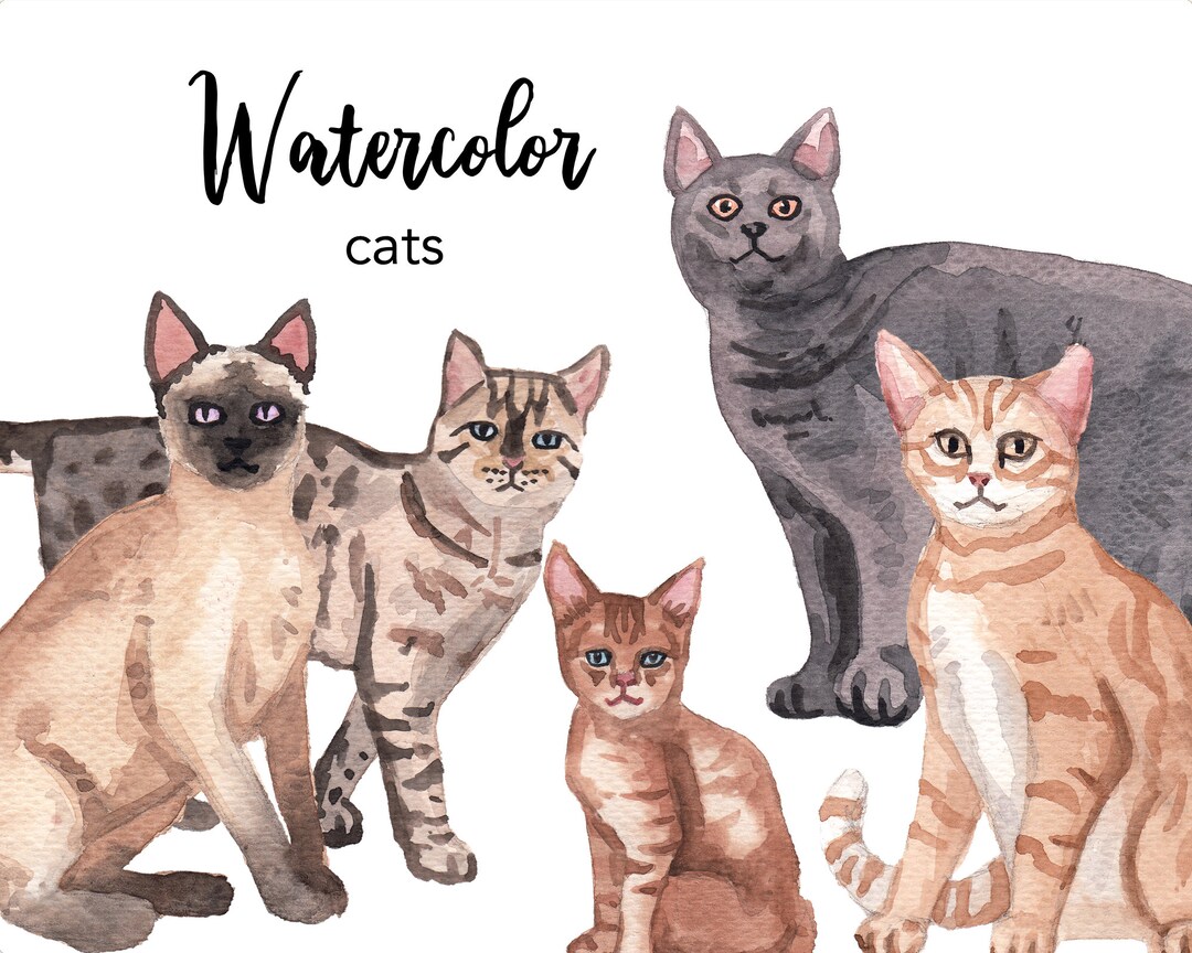 WATERCOLOR CLIPART, Cat Clipart, Watercolour Clipart Set, Commercial ...