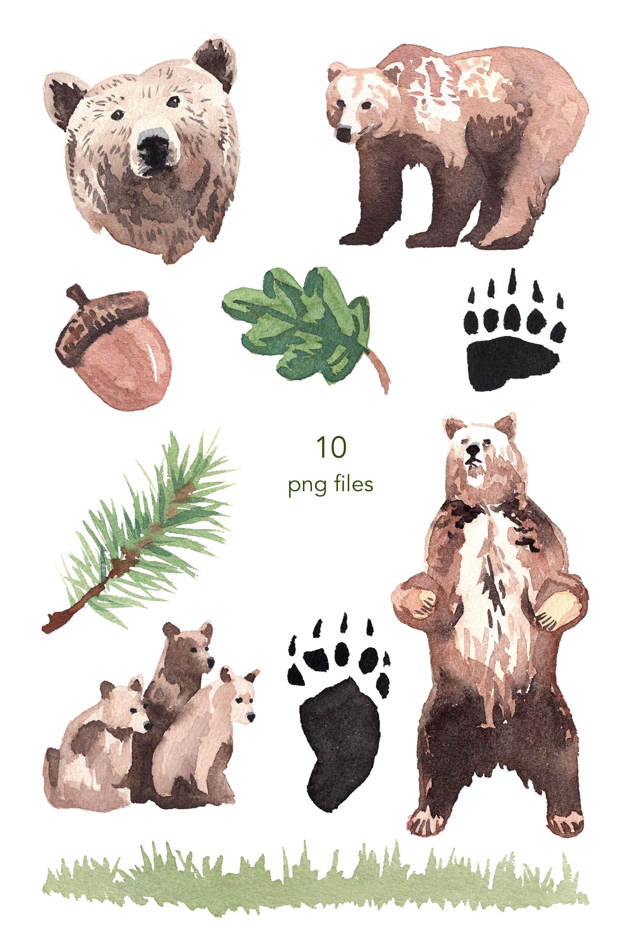 WATERCOLOR CLIPART, Bear Clipart, Watercolour Clipart Set, Commercial ...