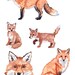 WATERCOLOR CLIPART, Fox Clipart, Woodland, Nursery, Scrapbooking Clip ...