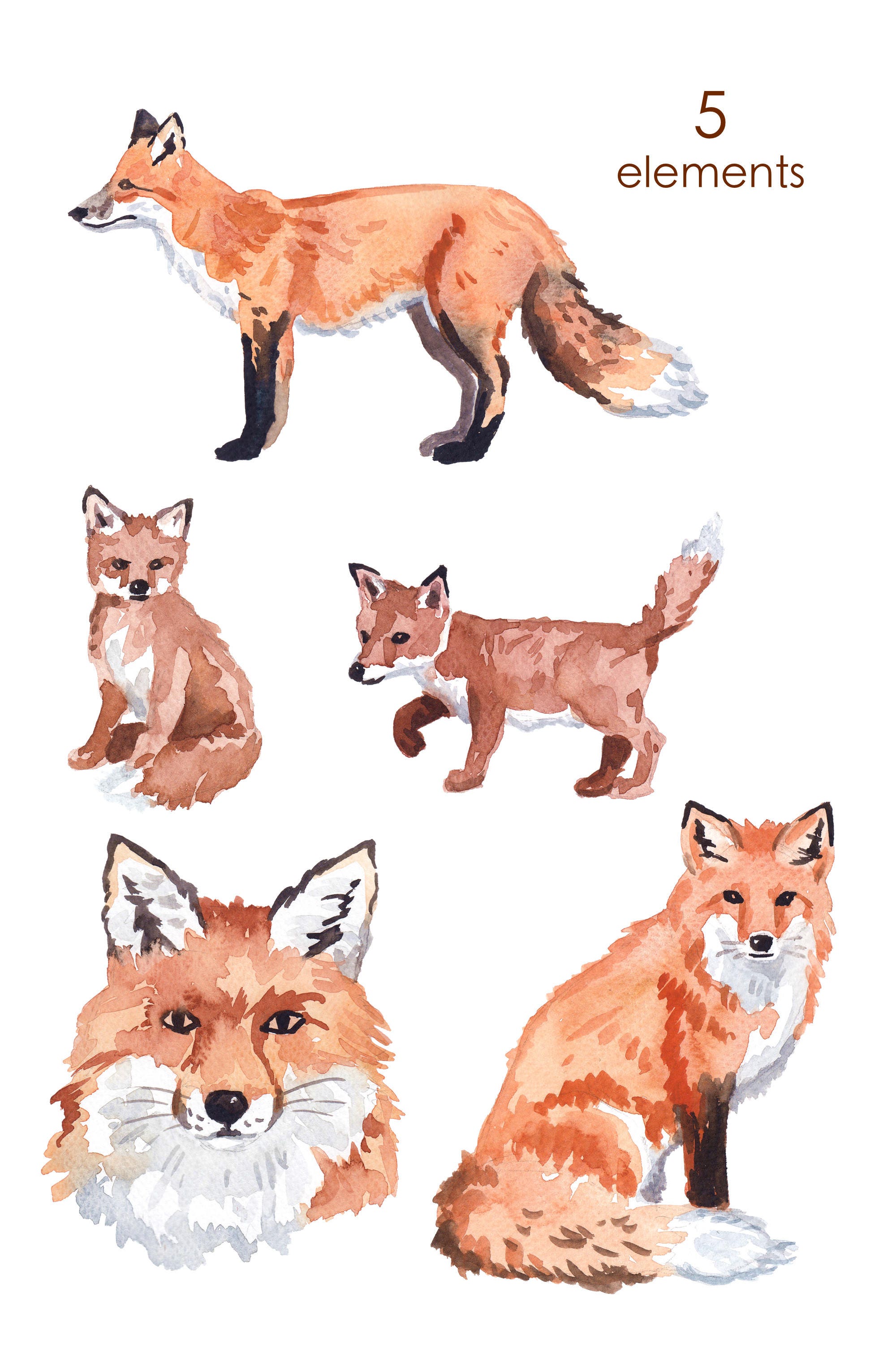 WATERCOLOR CLIPART Fox Clipart Woodland Nursery - Etsy