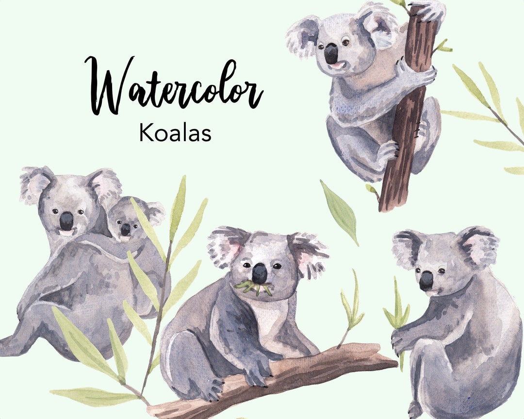 WATERCOLOR CLIPART, Koala Clipart, Watercolour Clipart Set, Commercial ...