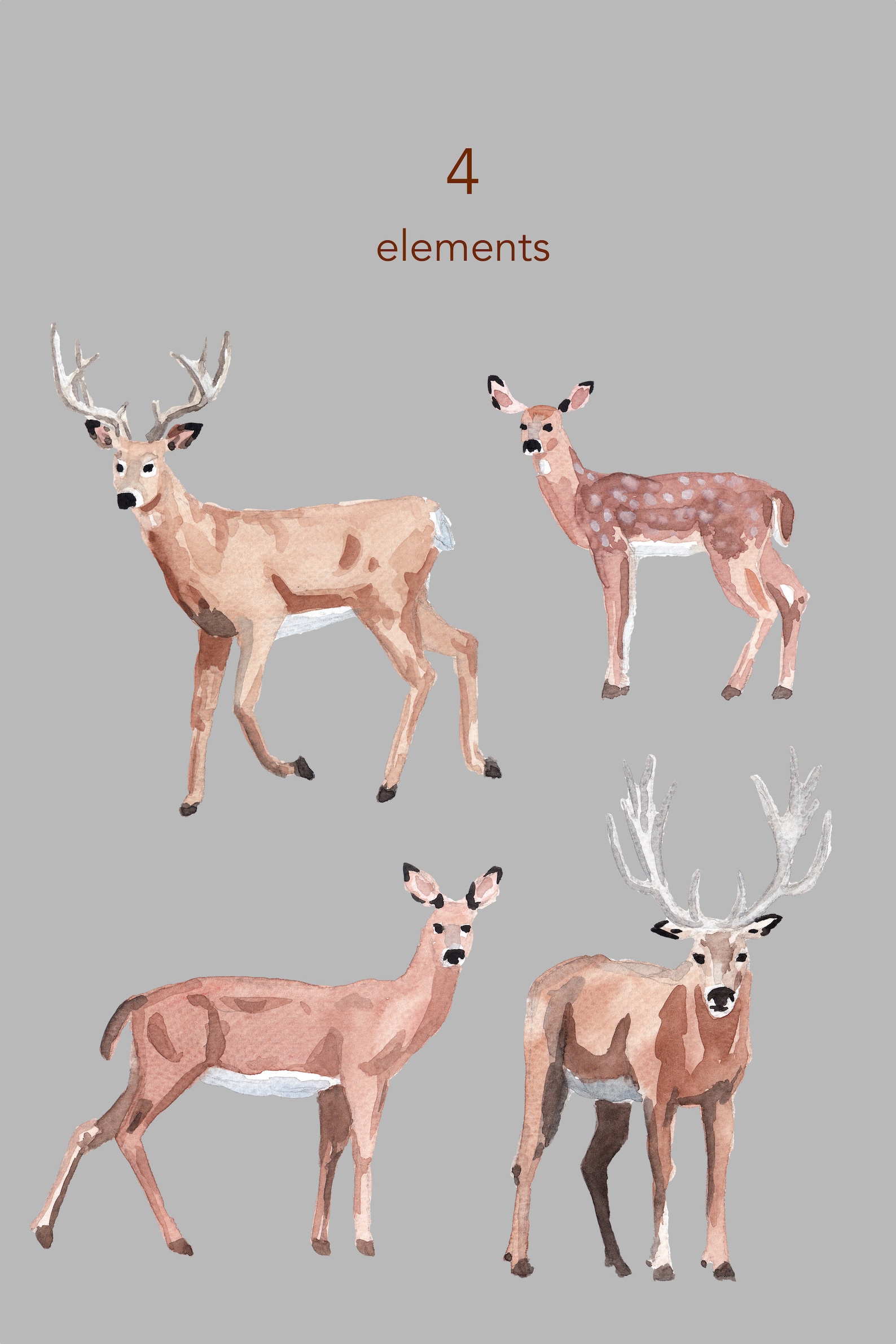 WATERCOLOR CLIPART Deer Clipart Watercolour Clipart Set - Etsy