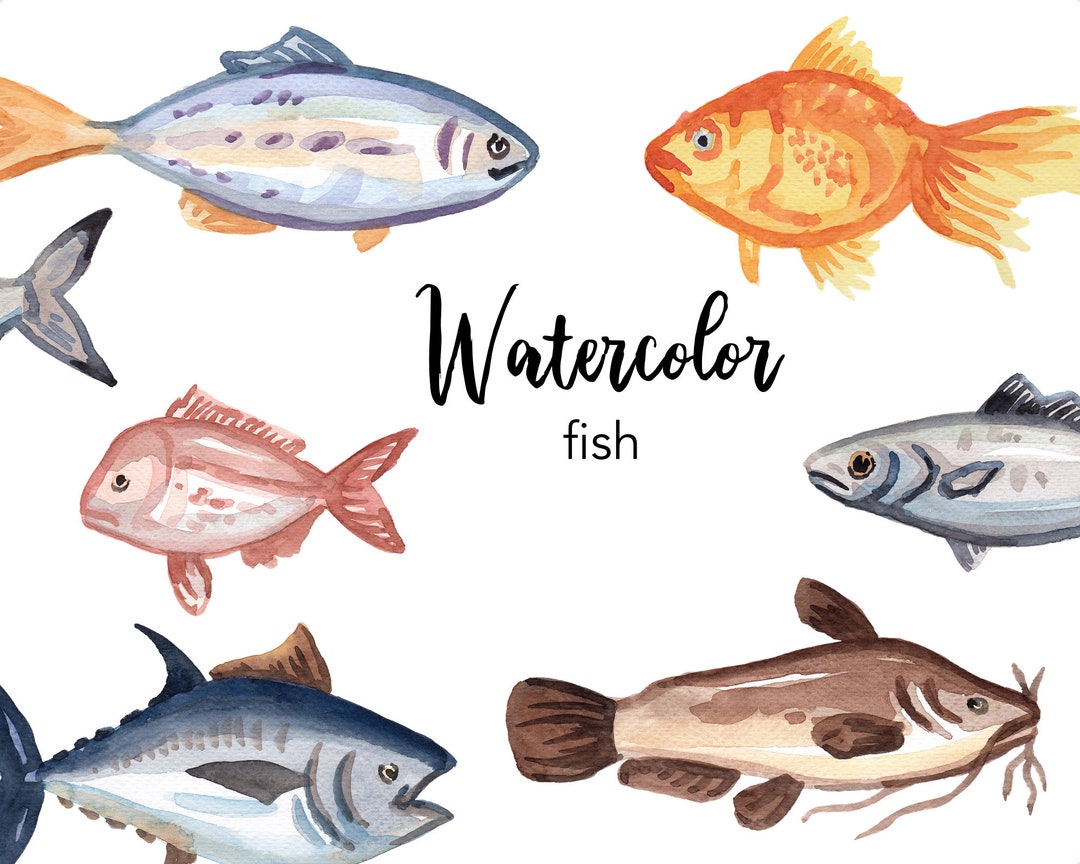 WATERCOLOR CLIPART, Fish Clipart, Ocean Beach Summer Vacation ...