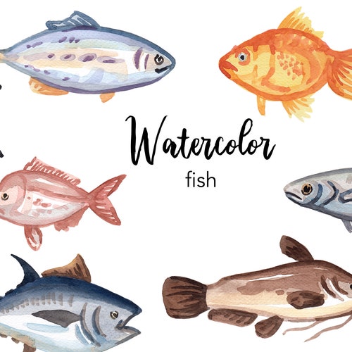 WATERCOLOR CLIPART Fish Clipart Ocean Beach Summer Vacation - Etsy