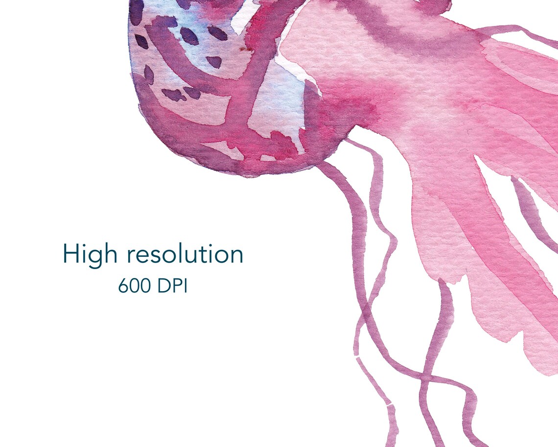 WATERCOLOR CLIPART Jellyfish Clipart Watercolour Ocean Sea - Etsy