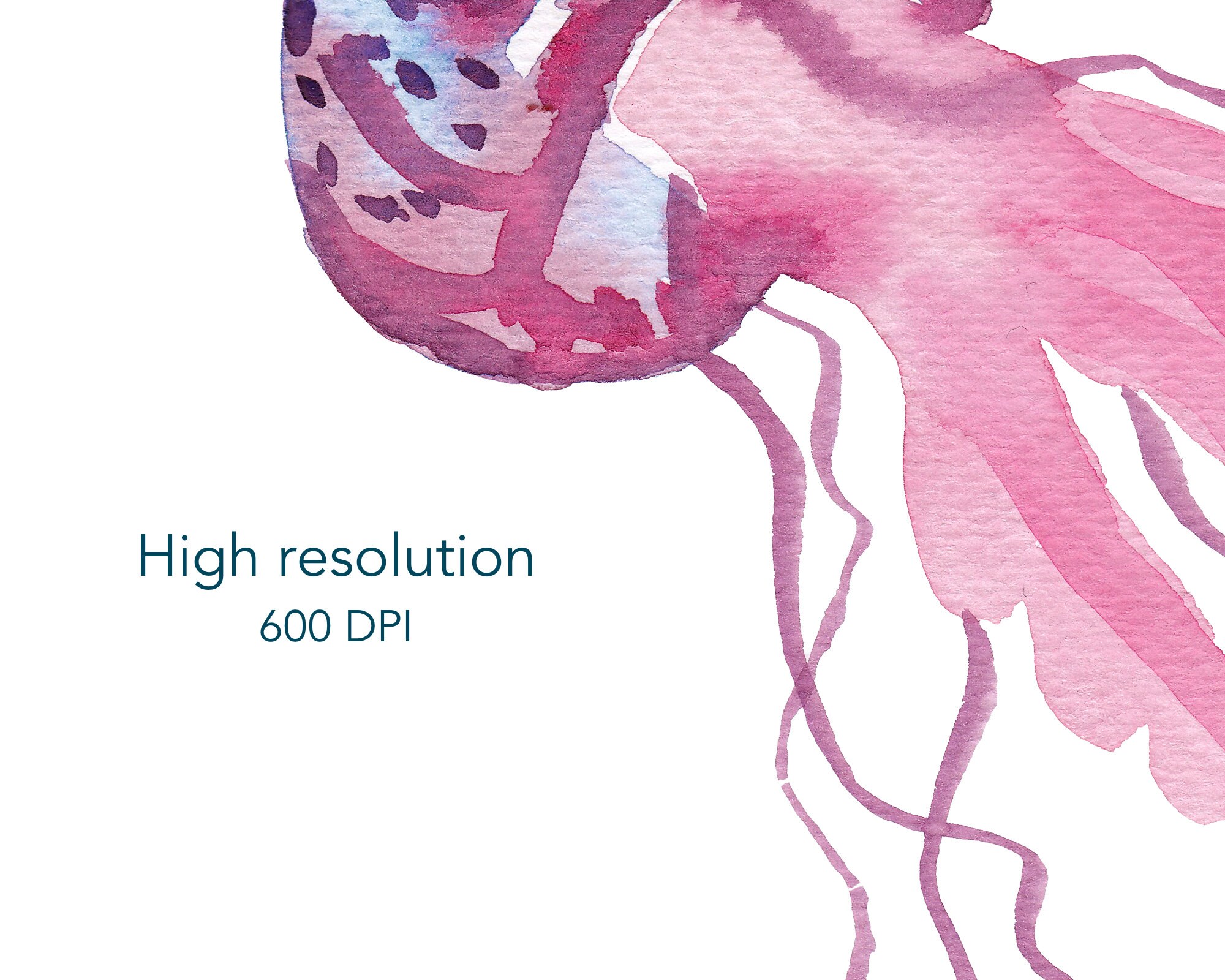 WATERCOLOR CLIPART Jellyfish Clipart Watercolour Ocean Sea - Etsy