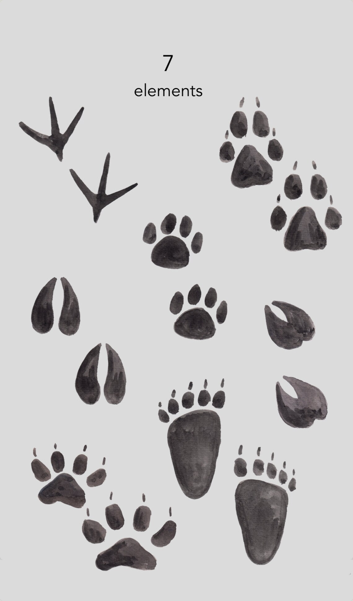 WATERCOLOR CLIPART, Animal Tracks Clipart, Watercolour Clipart Set ...