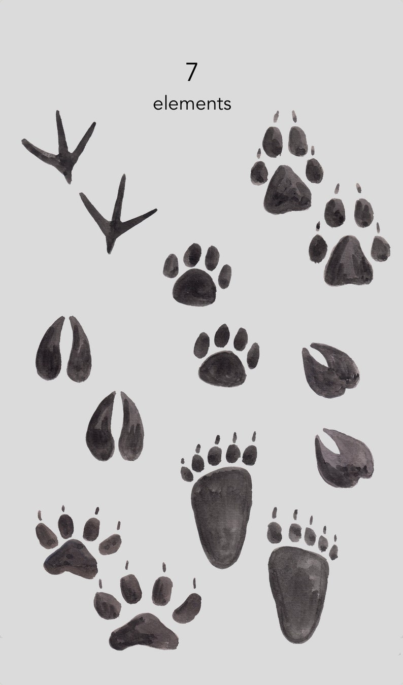 WATERCOLOR CLIPART, Animal Tracks Clipart, Watercolour Clipart Set ...