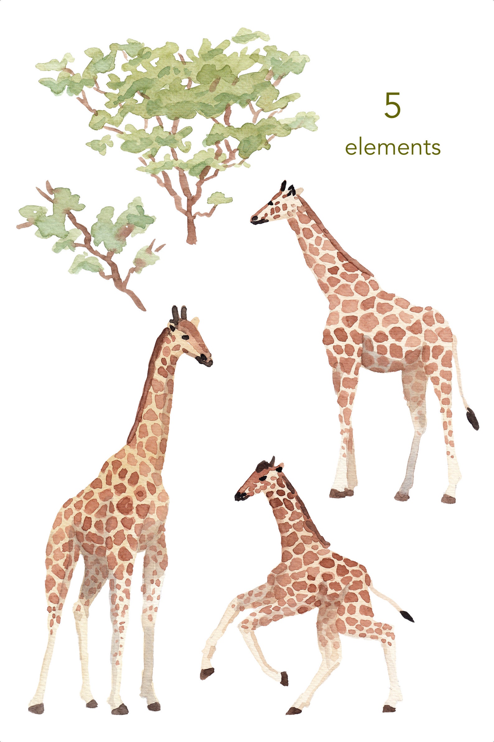 Watercolor Giraffe Clipart Set, Baby Animals (PNG Files) - Etsy