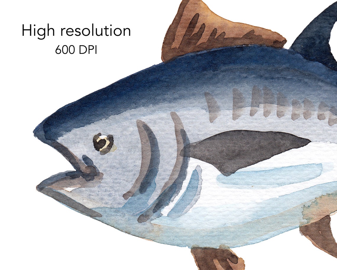 WATERCOLOR CLIPART Fish Clipart Ocean Beach Summer Vacation - Etsy