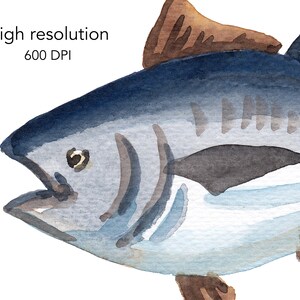 WATERCOLOR CLIPART, Fish Clipart, Ocean Beach Summer Vacation ...