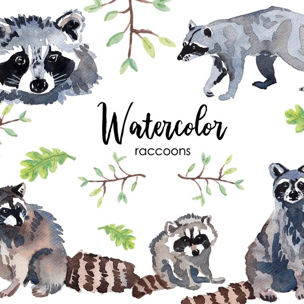 Raccoon Clipart - Etsy